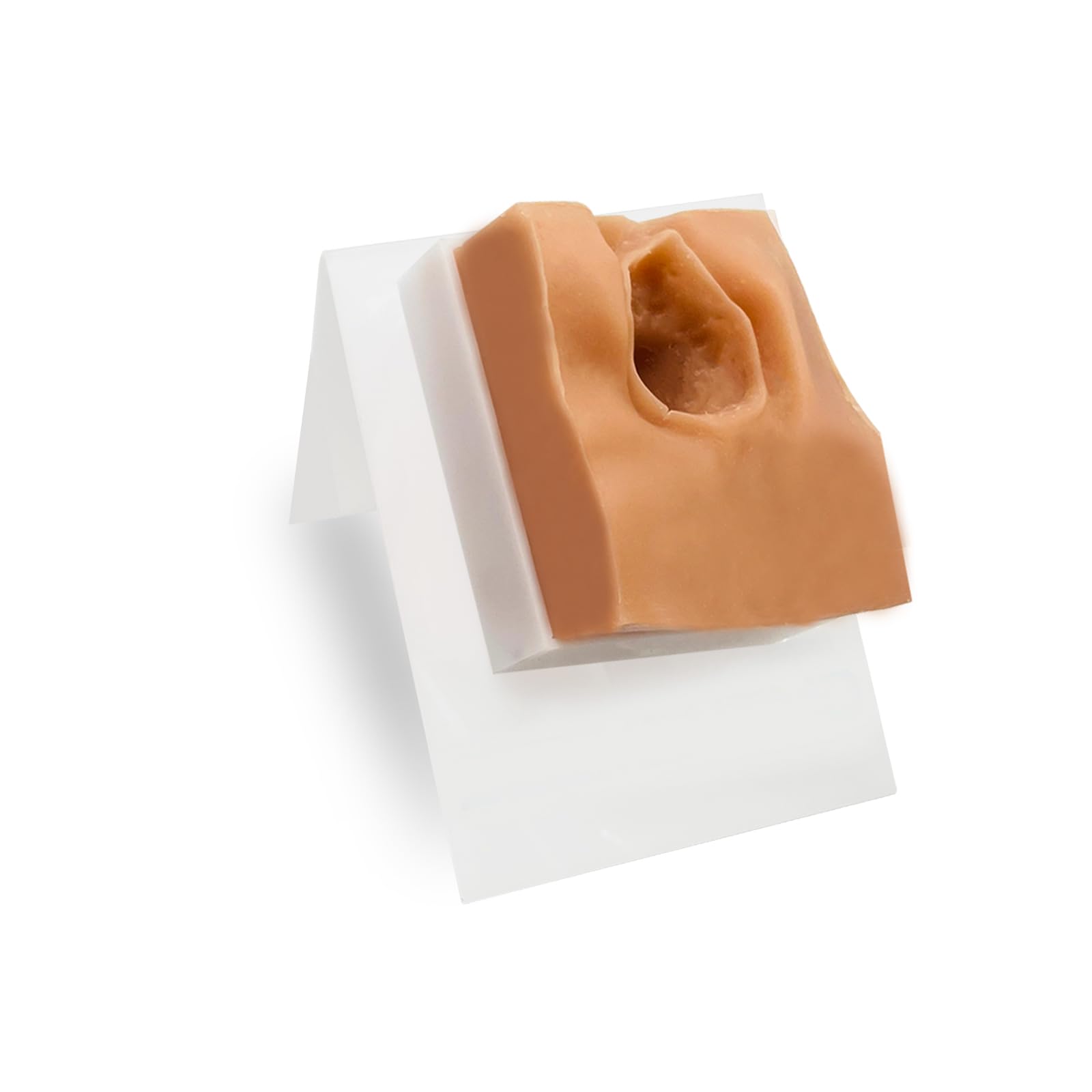 Snapklik.com : Perineal Suturing Model Perineal Repair Practice Model ...