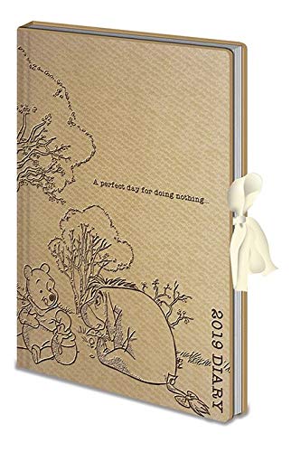 Winnie the Pooh A Perfect Day 2019 Diary : Pyramid International ...