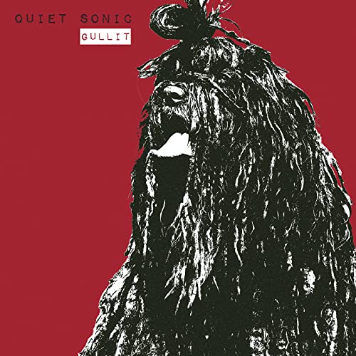 Play Gullit by Quiet Sonic on Amazon Music