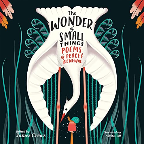 Amazon.com: The Wonder of Small Things: Poems of Peace and Renewal ...