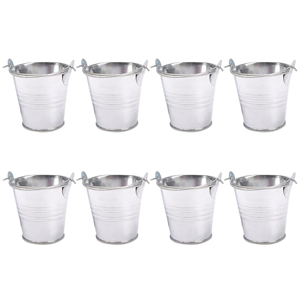 Amazon.com: UUYYEO 10 Pcs Mini Metal Plant Buckets Small Party Favor ...