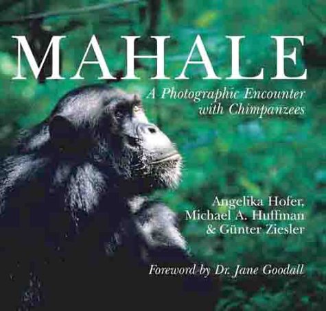 Mahale: A Photographic Encounter with Chimpanzees: Hoffer, Angelika ...