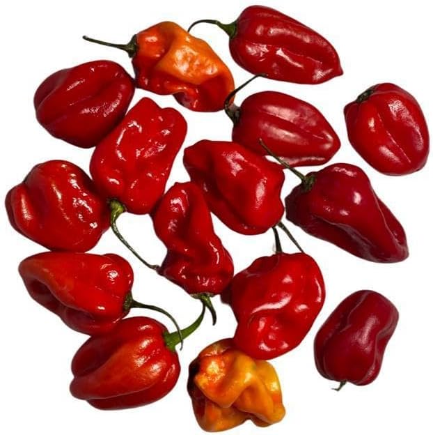 Fresh HOT Scotch Bonnet Peppers 500g : Amazon.co.uk: Grocery
