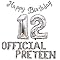 Amazon.com: 12th Birthday Decorations for Girls, Official Pre-Teen 12th ...