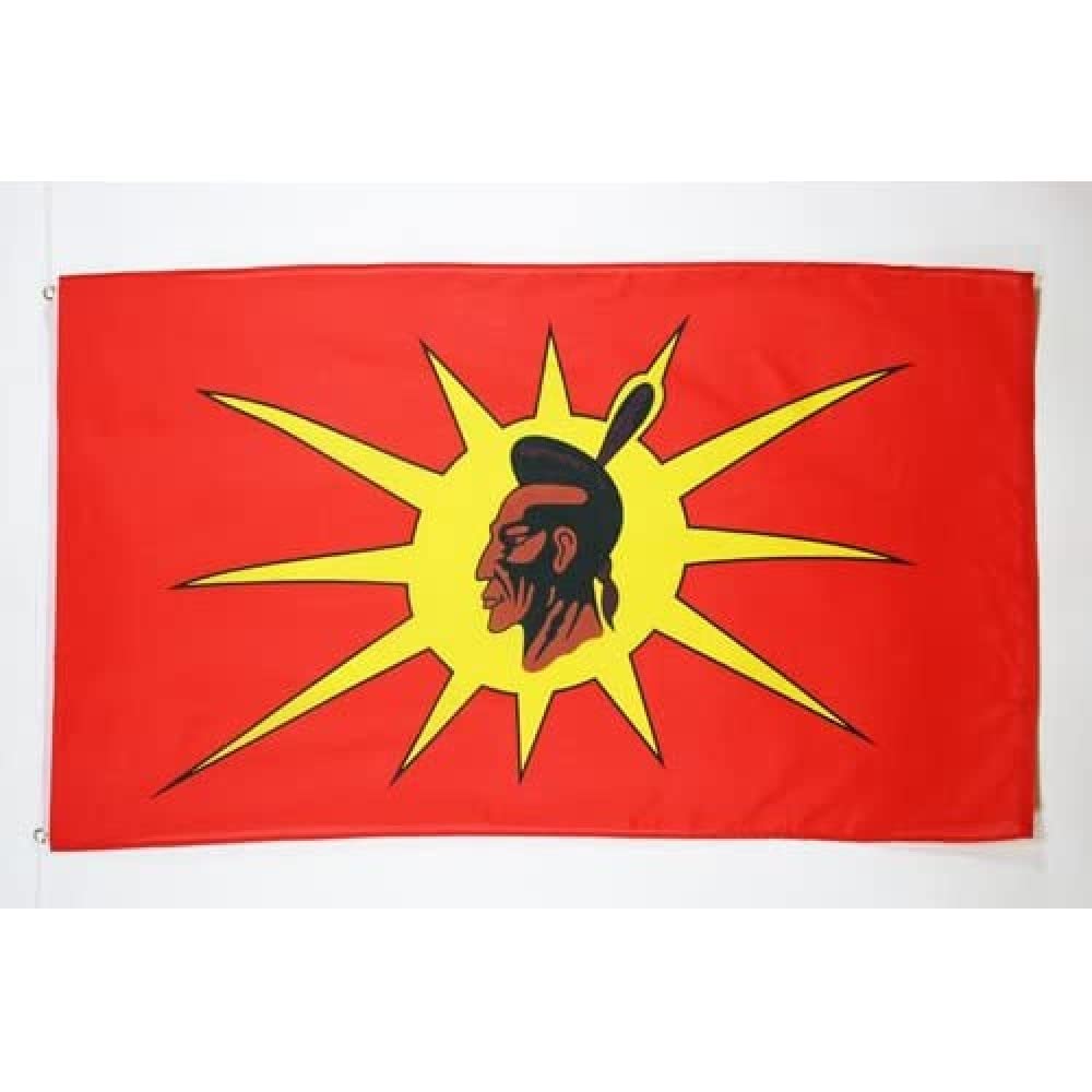 Amazon.com : AZ FLAG - Oka Indian Flag - 3x5 Ft - 100D Polyester India ...