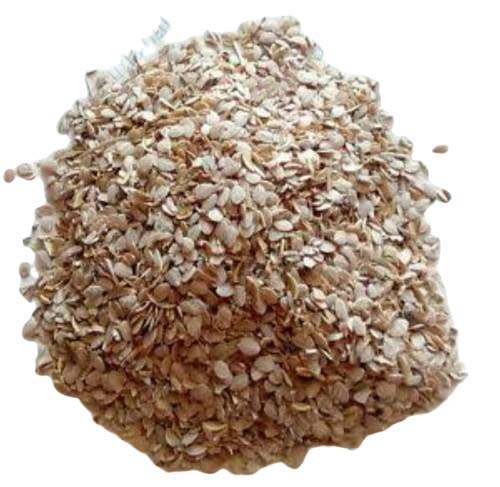 Buy Utigan Seed/Utangan Beej/Utangan Seeds/उटांगन बीज/Blepharis Edulis ...