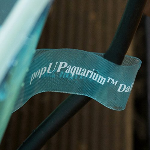 Garden Water Feature - Pop Up Pond Aquarium Pond Kit | Garden Outdoor Store