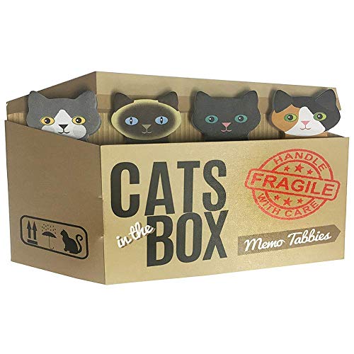 Cat In The Box – The 15 best products compared - Wild Explained
