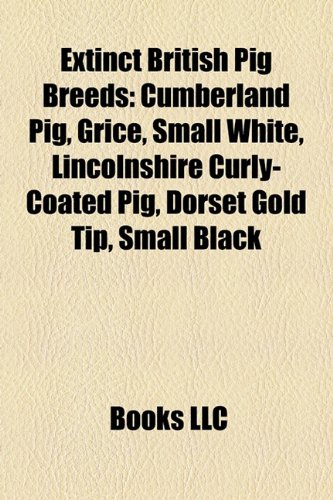 Extinct British Pig Breeds: Cumberland Pig, Grice, Small White ...