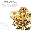 Amazon.com: Forever Rose Real 24K Gold Rose, Genuine One of a Kind Rose ...