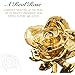 Amazon.com: Forever Rose Real 24K Gold Rose, Genuine One of a Kind Rose ...