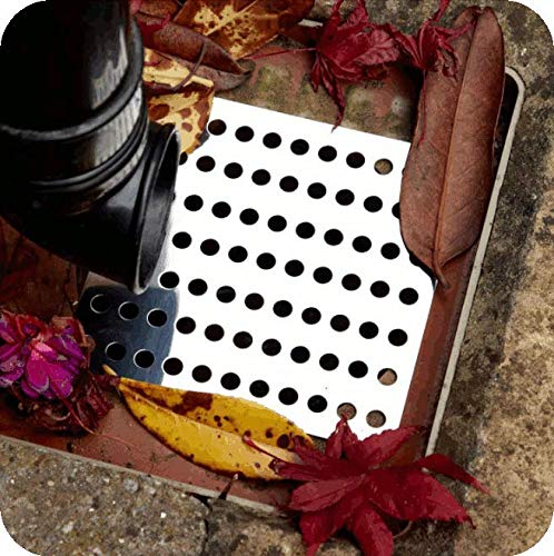 Lime Shop 2-Pack 15×15 Centimeter Rustproof Stainless Steel Swirl Drain ...