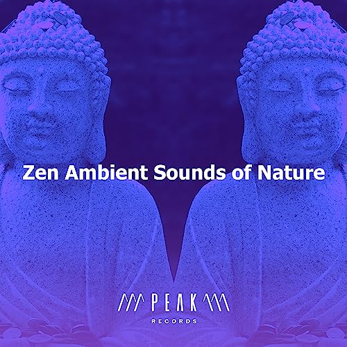 Bustling Sanctuary song by Sounds of Nature from Zen Ambient Sounds of ...