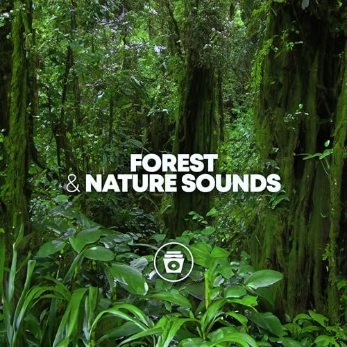 Forest & Nature Sounds de Sounds of Nature en Amazon Music Unlimited
