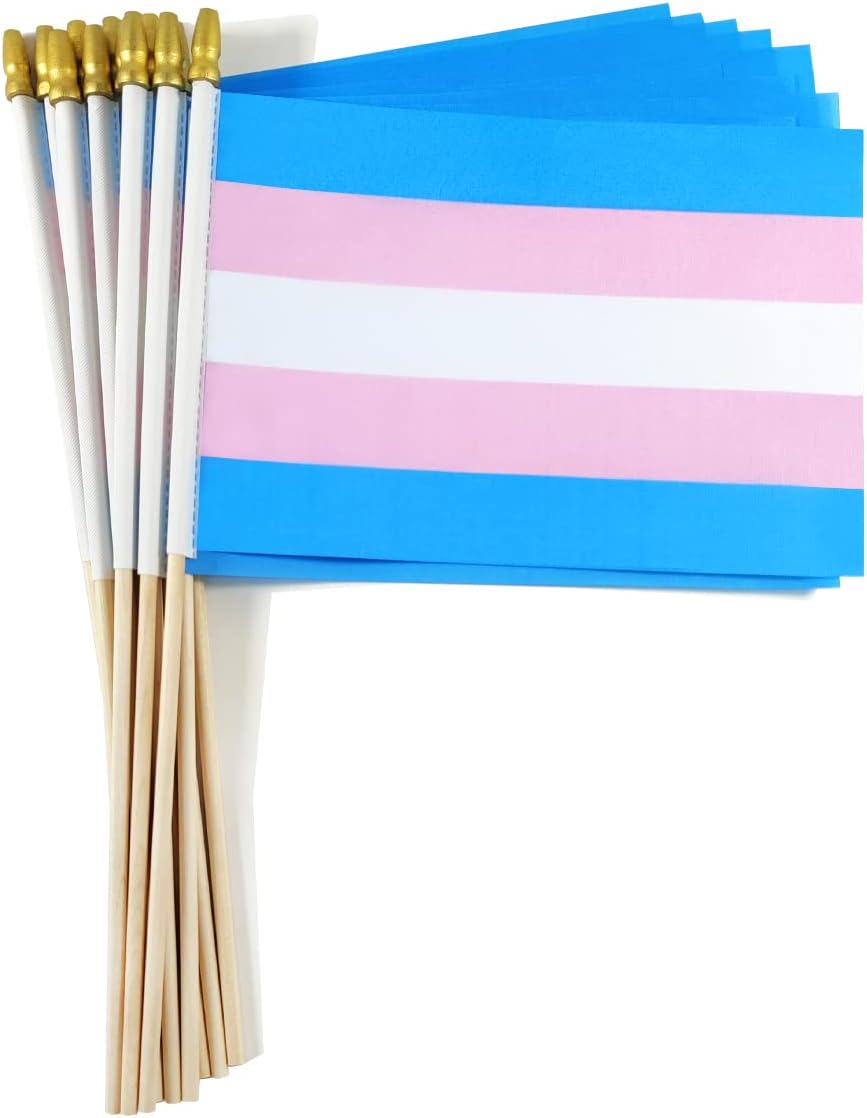 Amazon.com : 50 Pack Transgender Rainbow Pride Stick Flag,Small Mini ...