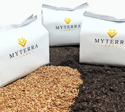 Amazon.com : Myterra Labs Max Yield Bin Monotub Mushroom Grow Kit Black ...