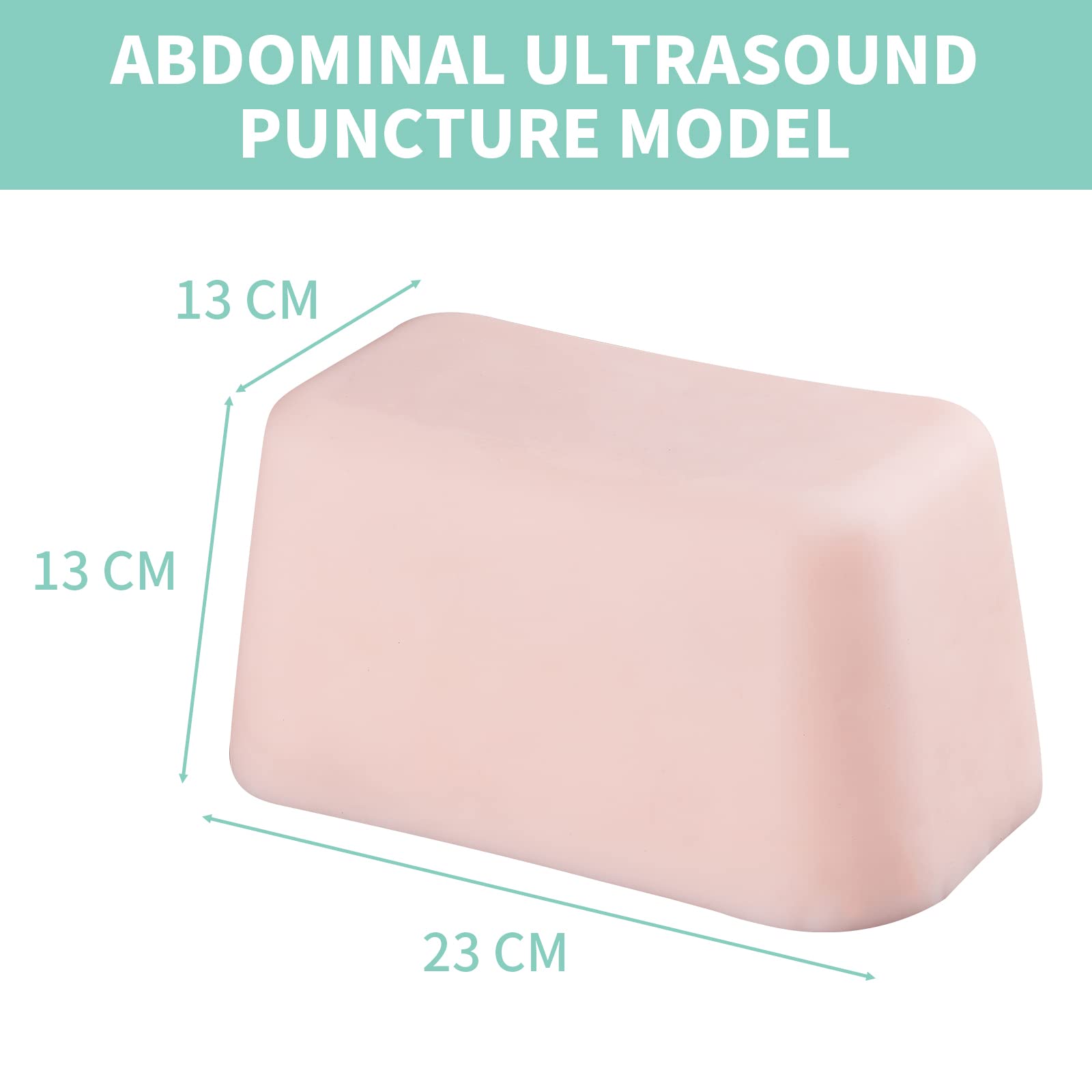 Snapklik.com : Ultrasound-Guided Abdominal Puncture Training Model ...