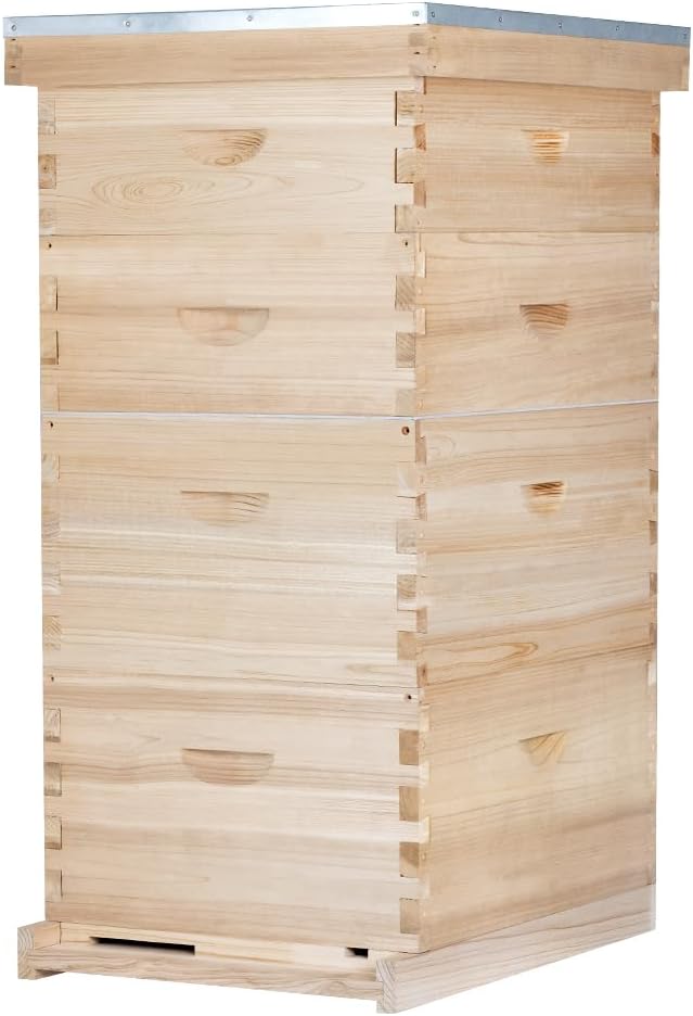 Amazon.com : BEEINN Bee Hive Boxes 10 Frame Langstroth Beehive,Complete ...
