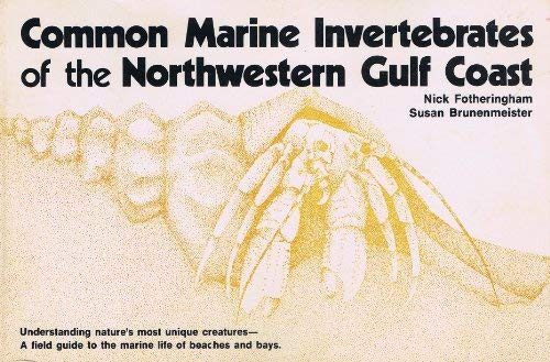 Common marine invertebrates of the northwestern gulf coast ...