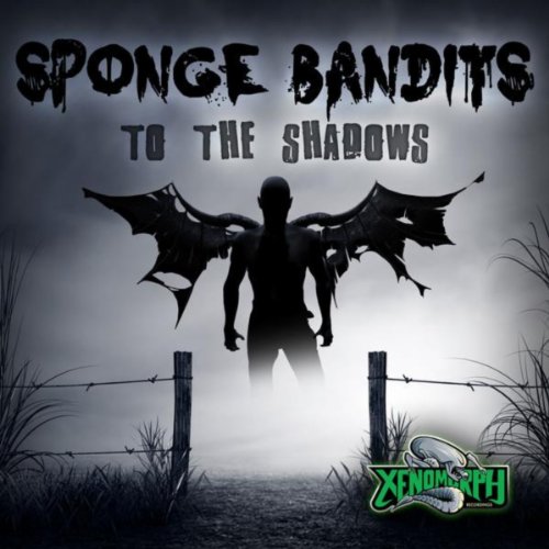 Amazon.com: To the Shadows : Sponge Bandits: Digital Music