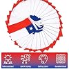 Amazon.com : Chile String Flag Pennant Banner, Small Mini Chilean Flags ...