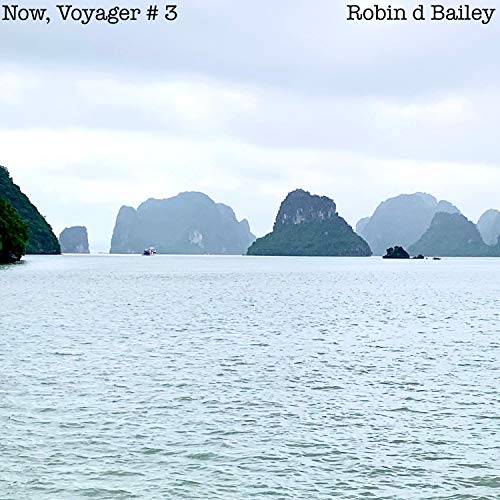 Play Now, Voyager #3. by Robin D Bailey on Amazon Music