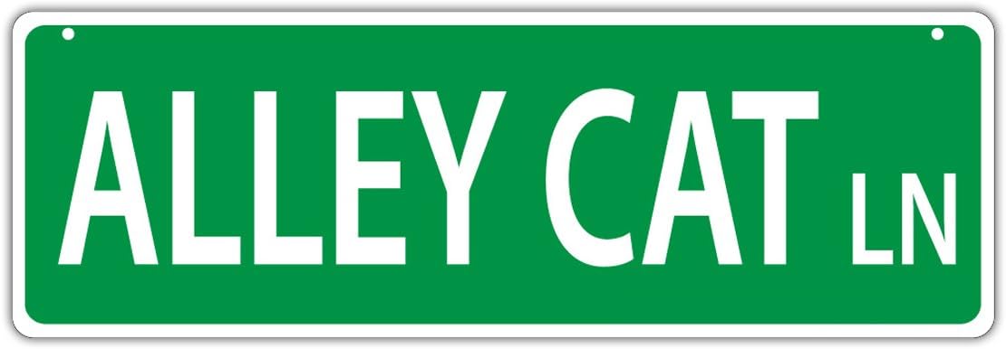 Amazon.com: Plastic Street Signs: ALLEY CAT LANE | Cats, Gifts ...