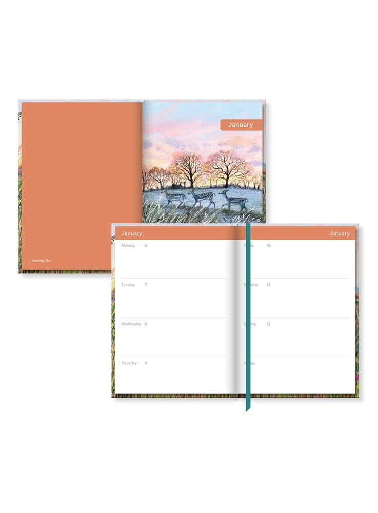 Museums & Galleries 2025 A5 Desk Diary – Week to View – Coast and ...