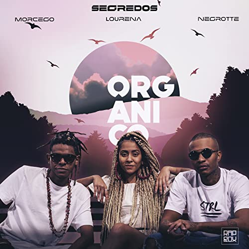 Écouter Segredos par Orgânico, Lourena & Morcego feat. Rap Box ...