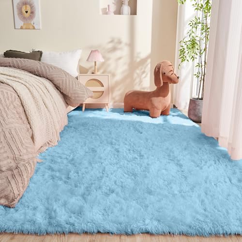 Amazon.com: OPPODREAM 4x6 Light Blue Rugs for Bedroom, Ultra-Soft ...