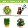 Amazon.com : Tevaplanter Hydroponic Indoor Planter - Innovative Ceramic ...