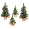 Amazon.com: 4 Pack Tabletop Mini Christmas Tree, 7.87" / 11.81 ...