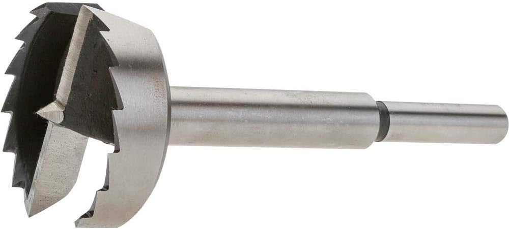 Steelex D1021 2-5/8" Forstner Bit - Amazon.com