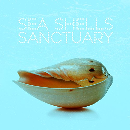 Sea Shells Sanctuary : Yoga Ocean Sounds: Amazon.es: Digital Music