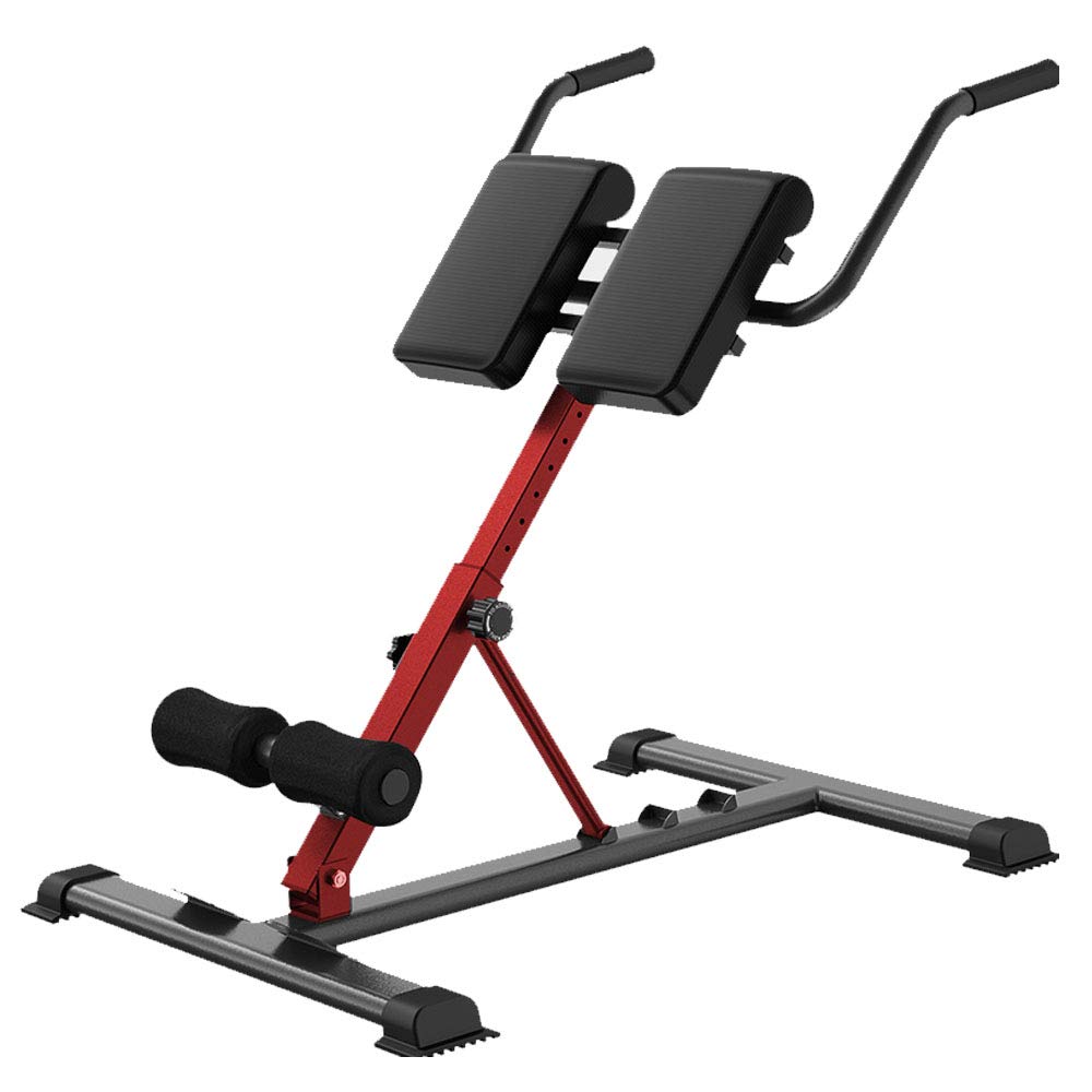 6 In 1 Back Trainer And Ab Trainer Including Home | Desertcart INDIA