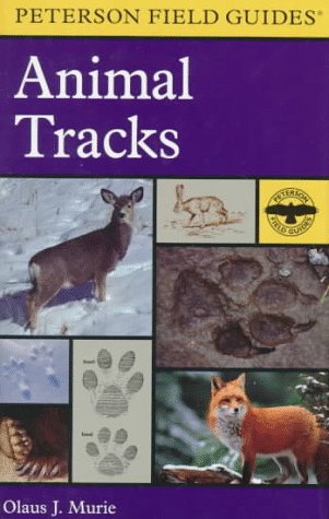 A Field Guide to Animal Tracks (Peterson Field Guide Series): Murie ...