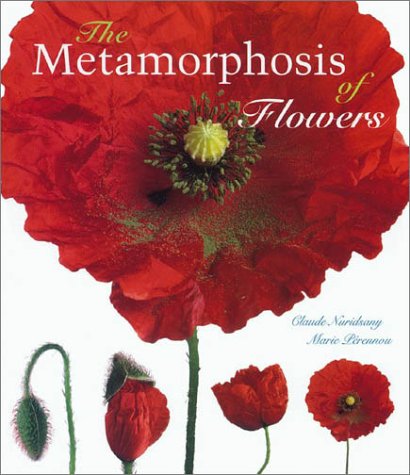 Amazon.com: The Metamorphosis of Flowers: 9780810982253: Nuridsany ...