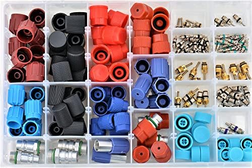 Amazon.com: R134a A/C Valve Core & Cap Kit | Assortment of 23 Styles ...