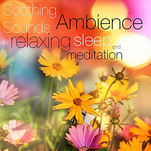 Soothing Sounds Ambience for Relaxing, Sleep and Meditation von ...