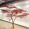 Amazon.com: Artificial Red Maple Tree, Realistic Large Japanese Red ...