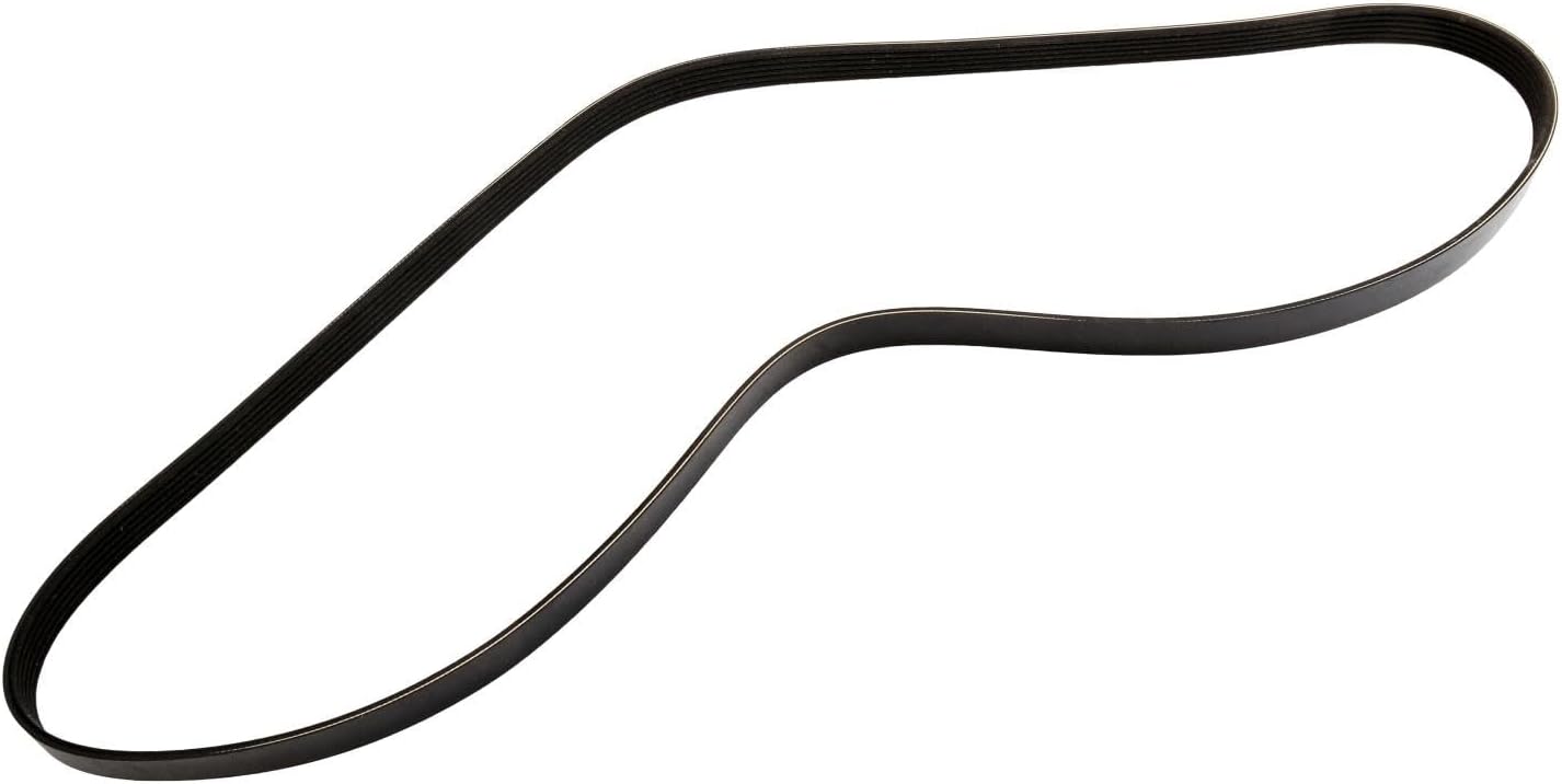 ACDelco GM Original Equipment 55578115 – Correa serpentina acanalada en ...