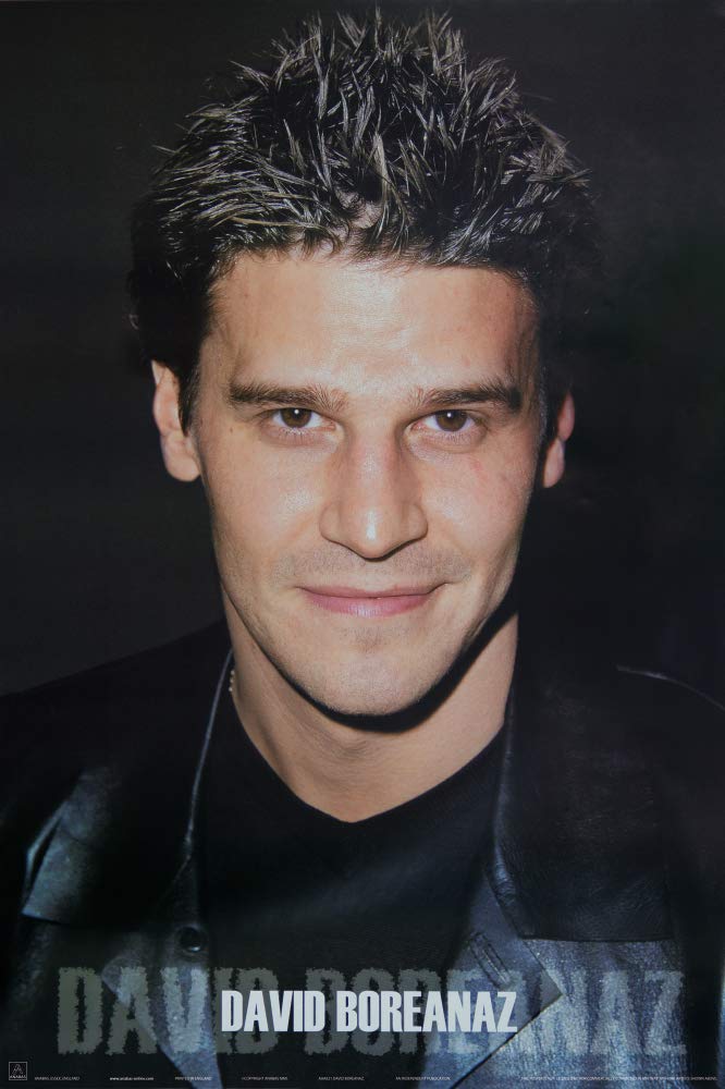 David Boreanaz Angel