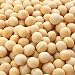 Amazon.com: Outsidepride Soybean Seeds For Forage, Food Plots, Wildlife ...