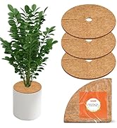 Amazon.com : MUGVELL 11.8 Inch Coconut Fiber Mulch Ring, 3 Pcs Tree ...