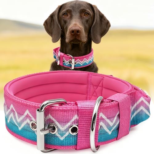 Amazon.com : PP COLOR NeckShield Control Dog Collar for Large Dogs-2 ...