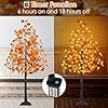 Amazon.com: 3Pack 4FT 5FT and 6FT 300 LED Artificial Lighted Maple Tree ...