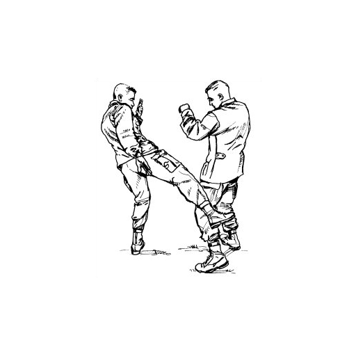 U.S. Army Field Manual FM 3-25.150 (21-150) COMBATIVES - App on the ...