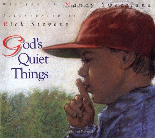 God's Quiet Things: Sweetland, Nancy, Stevens, Rick: 9780802851673 ...