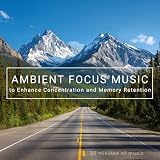 【発売日：2025年07月23日】・製造元:Focus Ambient Flow