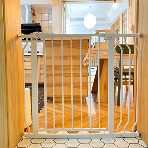 Top 10 Best Safety Gate With Door : Reviews & Buying Guide - Katynel